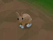 SkillFiteIO Wiki | Fandom