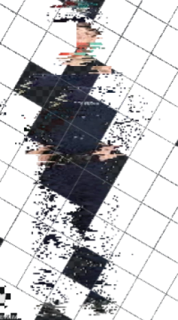 Evil Man | Skin Man Universe Wiki | Fandom