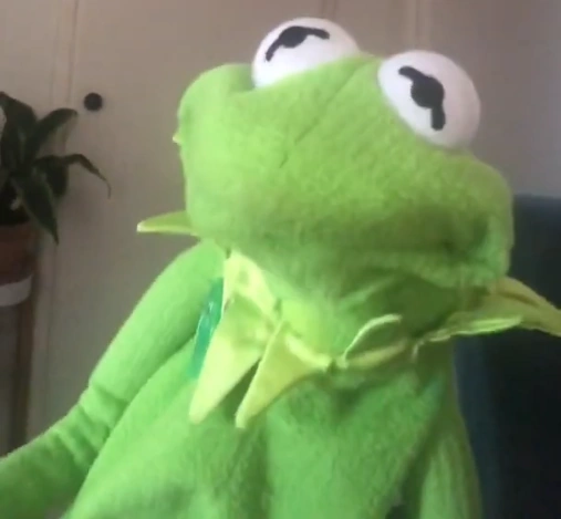 Kermit the Frog | Skippy Shorts Wiki | Fandom