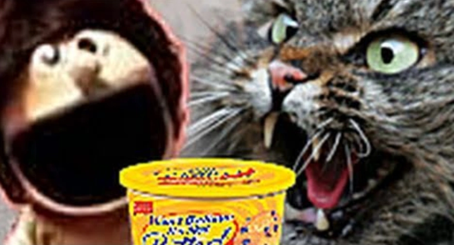 Ask Skippy 24 - BUTTERED CAT | Skippy Shorts Wiki | Fandom