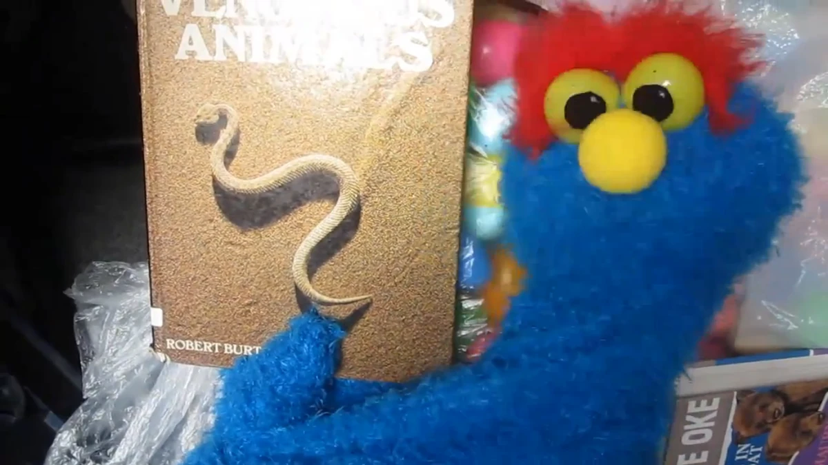 Moopy | Skippy Shorts Wiki | Fandom