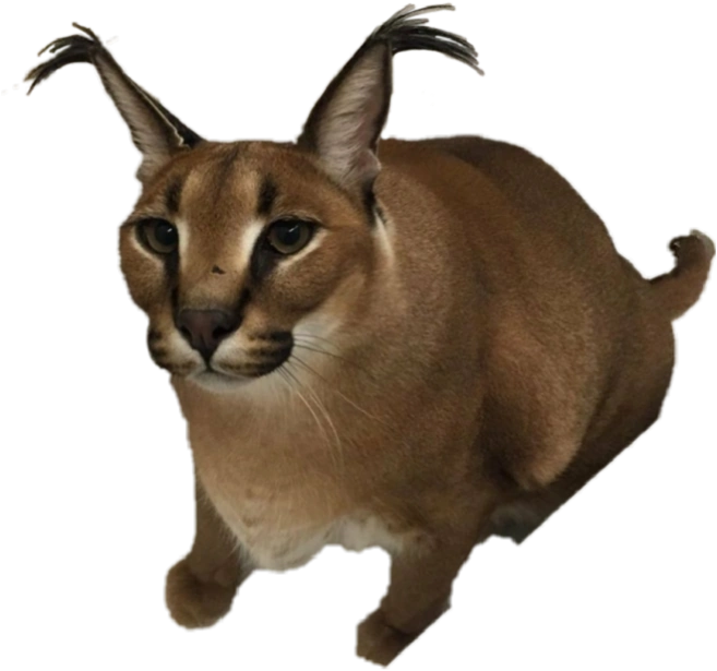 Floppa | Skittles Nextbots Fanmade Wiki | Fandom