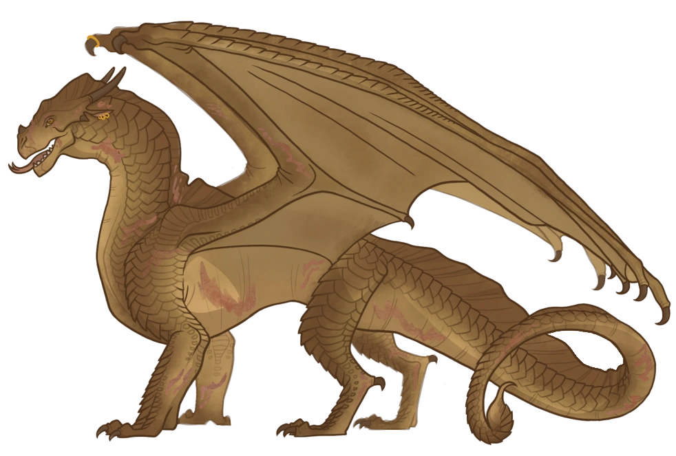 Sahara | Skrzydła Ognia OC Wiki | Fandom