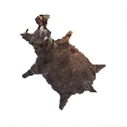 Hippo Hide | Skull & Bones Wiki | Fandom