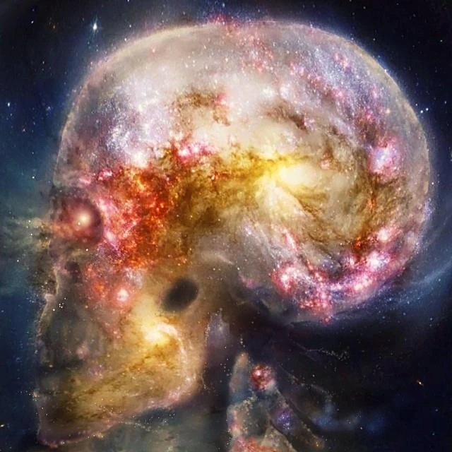 The Megaverse | Skull Inc Wiki | Fandom