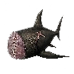 Viande de requin | Wiki Skullandbones france | Fandom