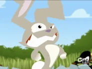 Rabbit | Skunk Fu Wiki | Fandom