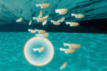 Fishes | Sky: Children of the Light Wiki | Fandom