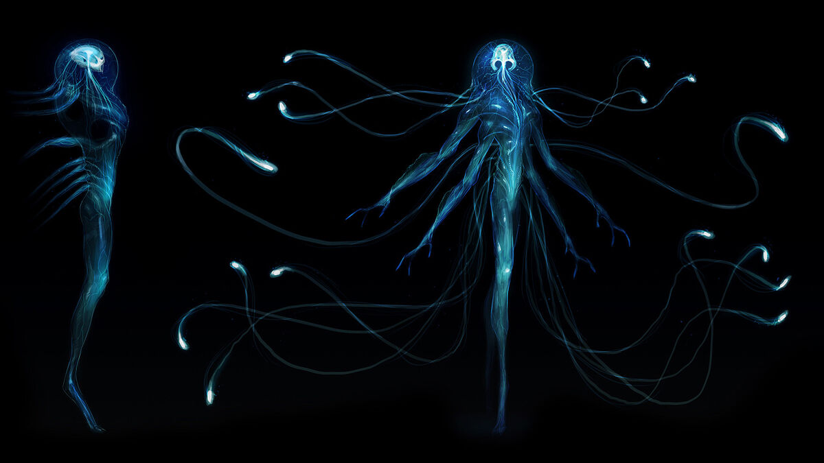 Ethereals Sky Haven Lore Wikia Fandom