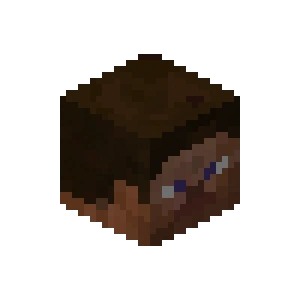 Null Head (Steve) | Skyblock Glitches Wiki | Fandom