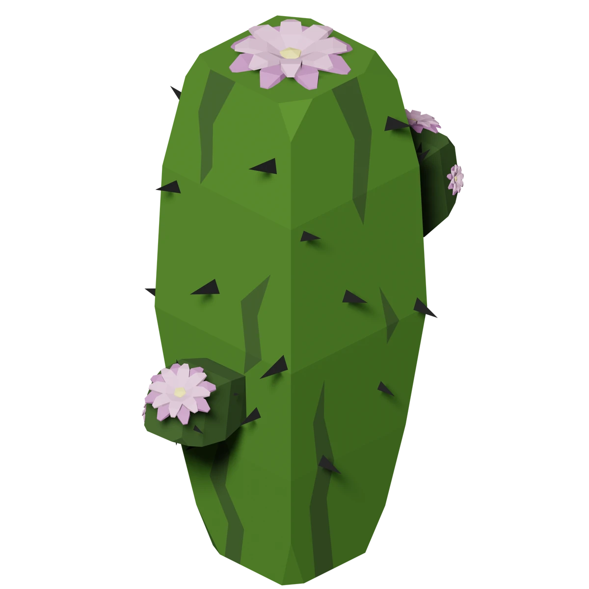 Cactus | Islands Wiki | Fandom