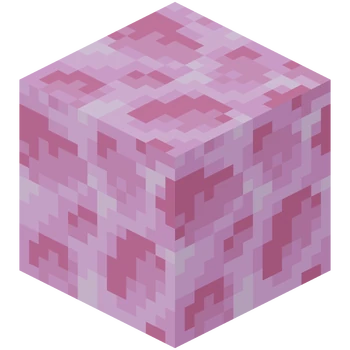 Coral Block | Islands Wiki | Fandom