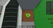 Starfruit | Islands Wiki | Fandom