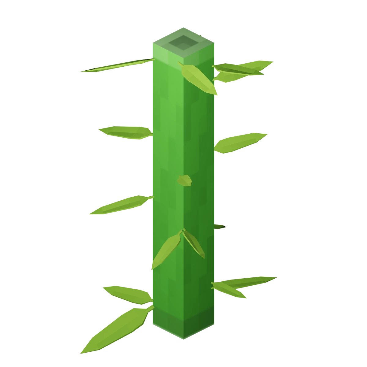 Bamboo | Islands Wiki | Fandom