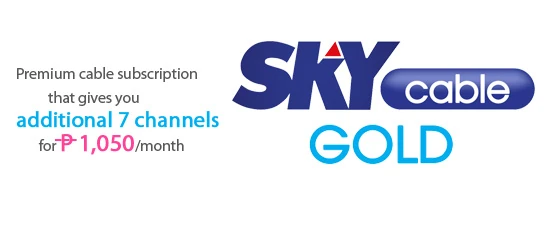 SkyCable Silver | SkyCable Wiki | Fandom