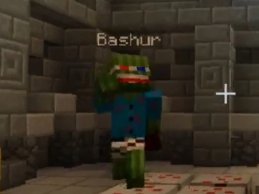 Bashur | Skydoesminecraft Wiki | Fandom
