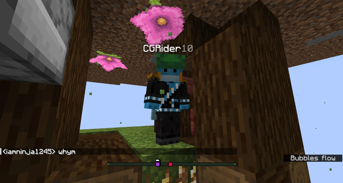 CGRider10 | Skyhell IV Wiki | Fandom