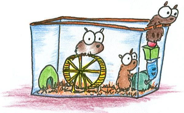 The Rat Den | Skylanders Fan Wiki | Fandom