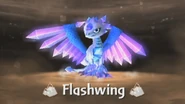 Flashwing/Gallery | Skylanders Wiki | Fandom