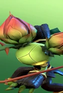 Boom Bloom/Gallery | Skylanders Wiki | Fandom