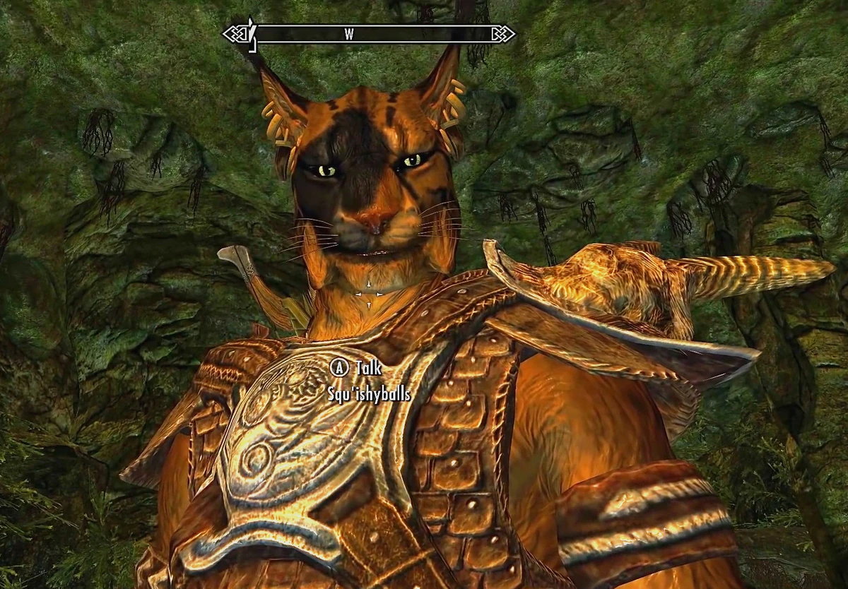 Squ'ishyballs | Skyrim For Pimps Wiki | Fandom