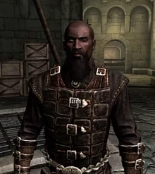 Dawnguard | Skyrim For Pimps Wiki | Fandom