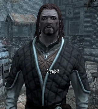 Brynjolf | Skyrim For Pimps Wiki | Fandom