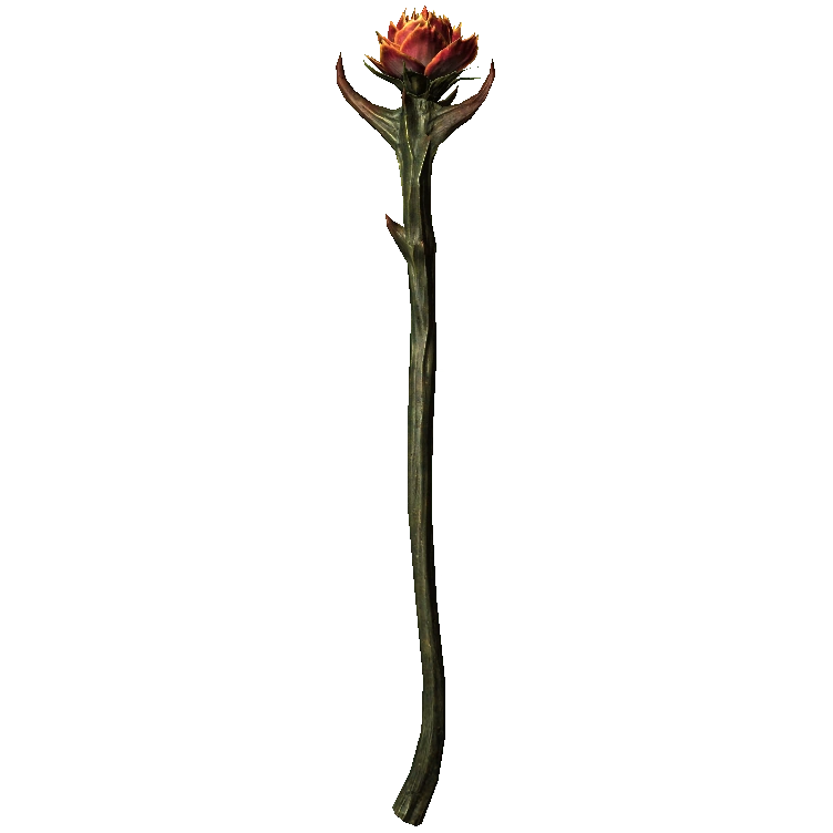 Sanguines Rose – Skyrim Wiki