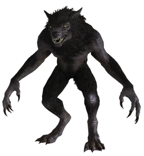 Skyrim Werwolf Tapete Hd