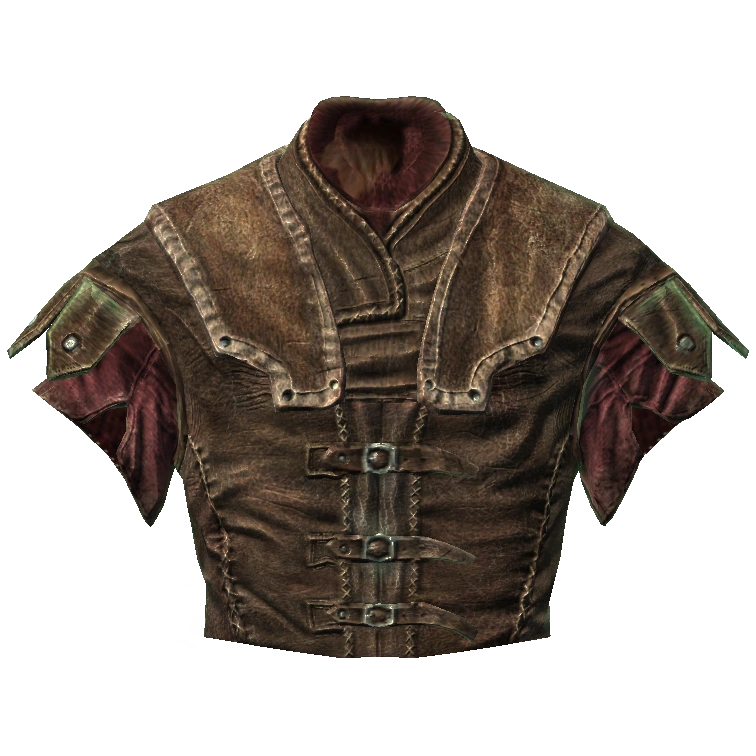 Imperial Armor of the Squire - Skyrim Wiki