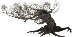 Canis Root - Skyrim Wiki