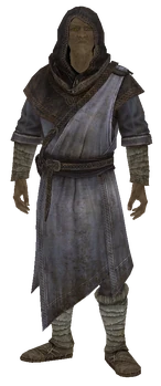 Nelacar - Skyrim Wiki
