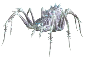 Frost Spider - Skyrim Wiki