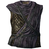 Riften Guard's Armor - Skyrim Wiki