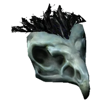 Bone Hawk Skull - Skyrim Wiki