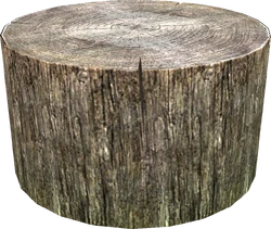 Wood Chopping Block - Skyrim Wiki