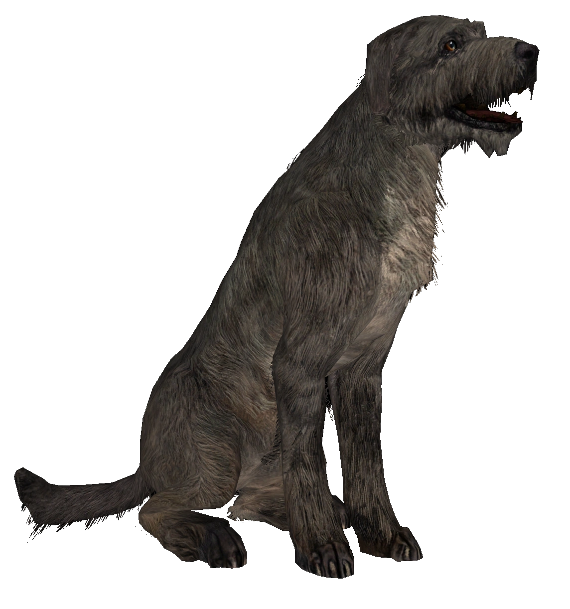 Dog - Skyrim Wiki