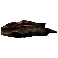 Bloody Rags - Skyrim Wiki