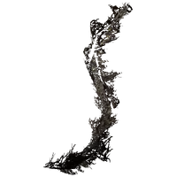 Emperor Parasol Moss - Skyrim Wiki