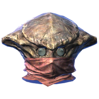 Chitin Helmet of Eminent Alteration - Skyrim Wiki