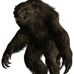 fluffy animals skyrim