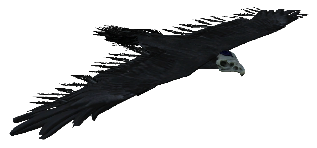 Bone Hawk - Skyrim Wiki