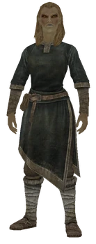 Nirya - Skyrim Wiki