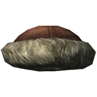 Hat - Skyrim Wiki