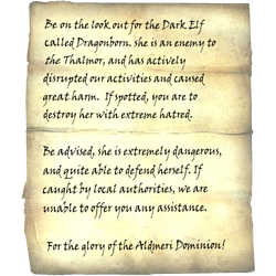 Justiciar Execution Order - Skyrim Wiki