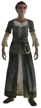 Nilsine Shatter-Shield - Skyrim Wiki