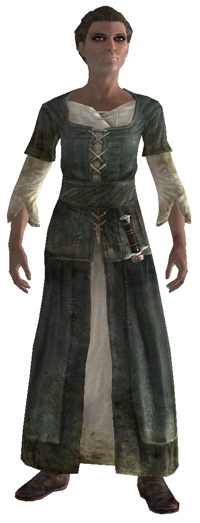 Nilsine Shatter-Shield - Skyrim Wiki