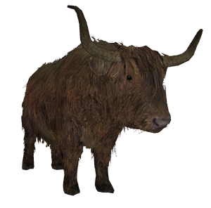 Cow - Skyrim Wiki