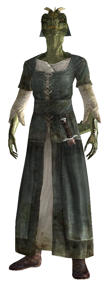 Shahvee - Skyrim Wiki