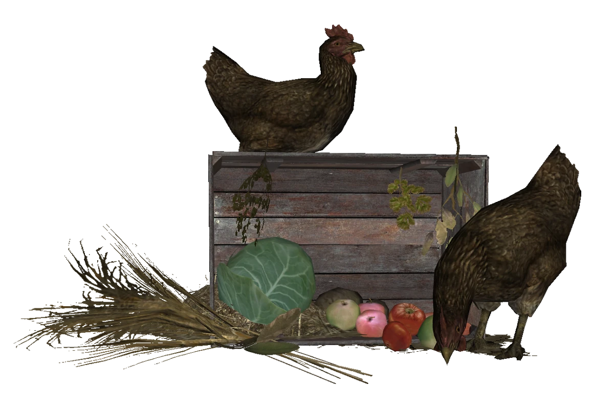 Chicken - Skyrim Wiki